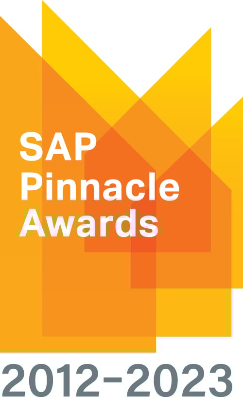 Maximize Your SAP Business One Investment With Vision33